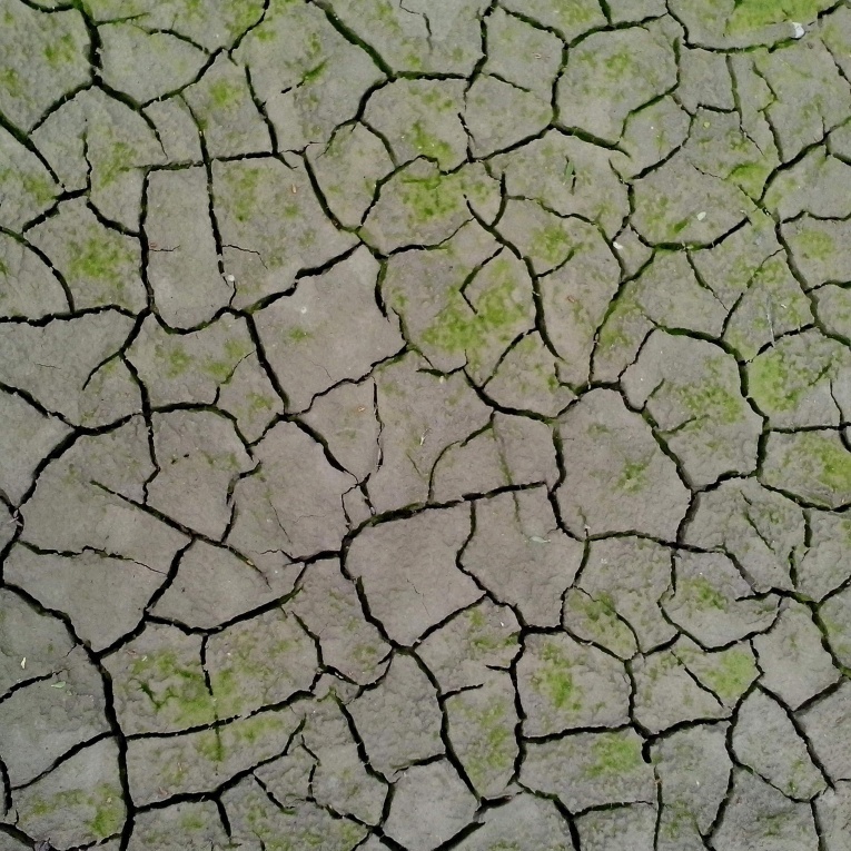 Connected Component Labeling Algorithm for GPGPU